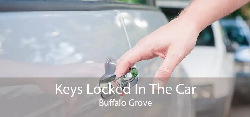 Keys Locked in The Car Buffalo Grove | Keys Locked in The Car ...